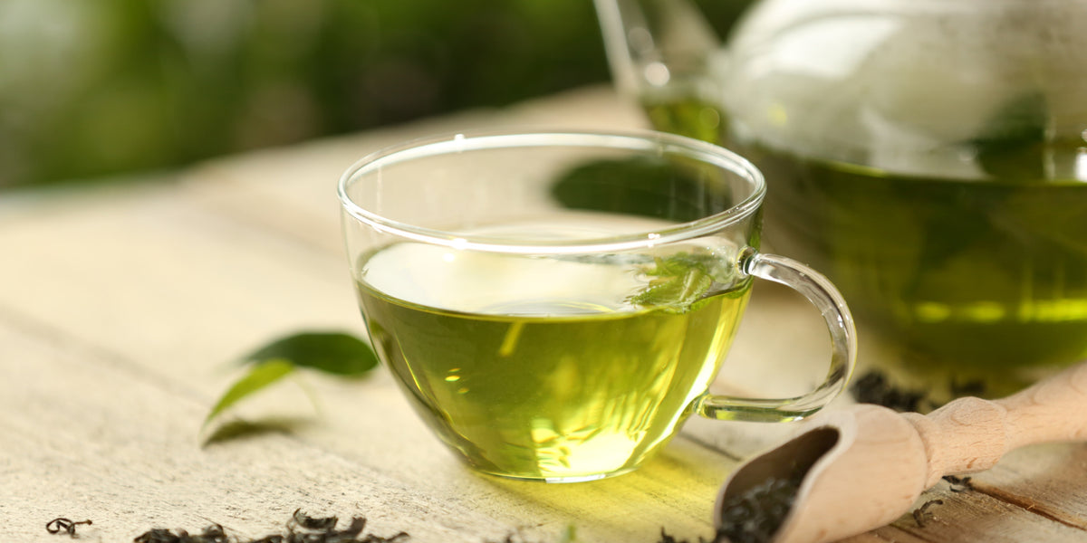 Loose Leaf Green Tea | Buy Green Tea Online in Canada | Tea Desire