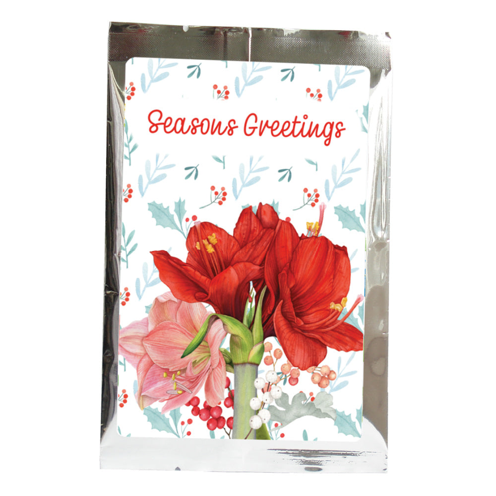 TEA DESIRE'S TEA POSTCARD | SEASON'S GREETINGS | TEA GREETINGS – Tea Desire